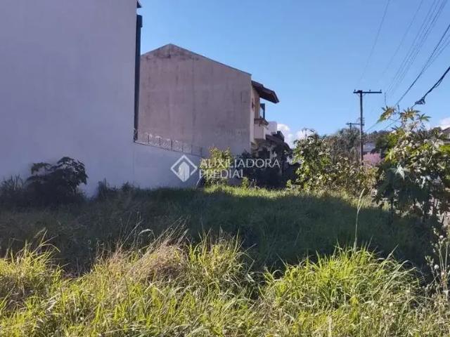 Terreno / Lote para Venda em Porto Alegre/RS Guarujá