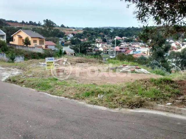 Terreno / Lote para Venda em Porto Alegre/RS Guarujá
