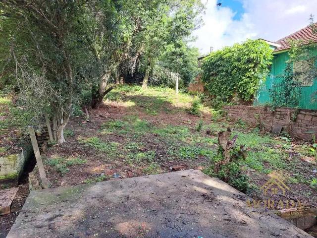 Terreno / Lote para Venda em Porto Alegre/RS Guarujá