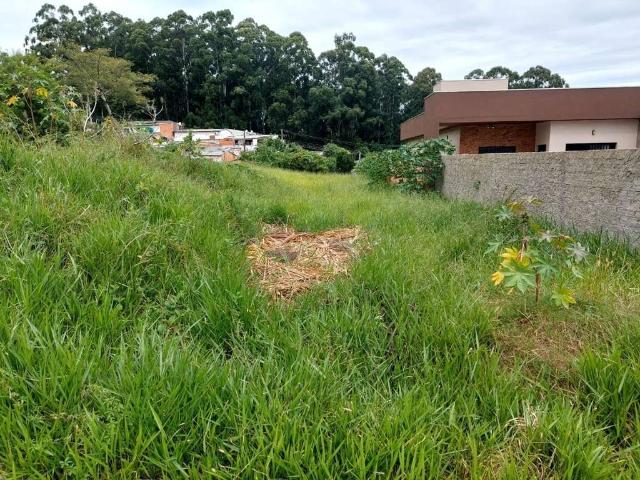 Terreno / Lote para Venda em Porto Alegre/RS Guarujá