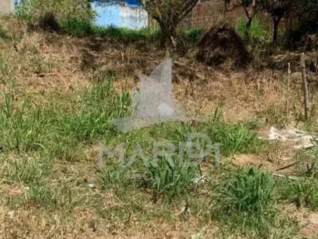 Terreno / Lote para Venda em Porto Alegre/RS Guarujá