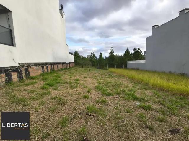 Terreno / Lote para Venda em Porto Alegre/RS Guarujá