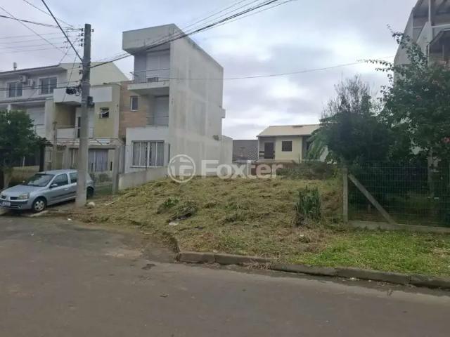 Terreno / Lote para Venda em Porto Alegre/RS Guarujá