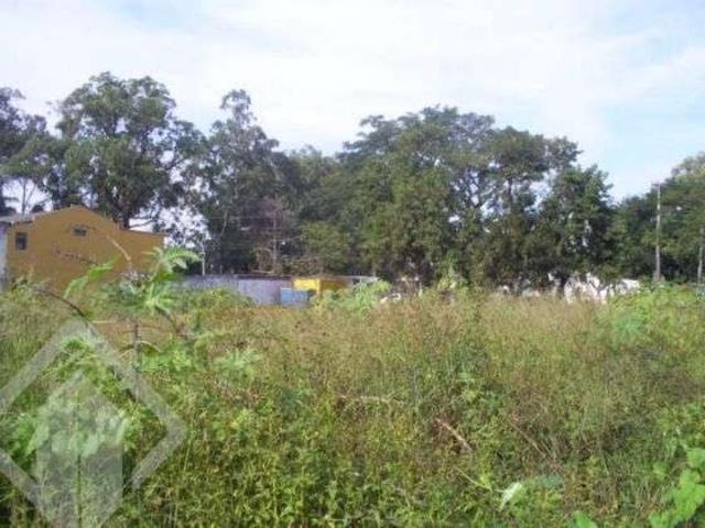Terreno / Lote para Venda em Porto Alegre/RS Guarujá