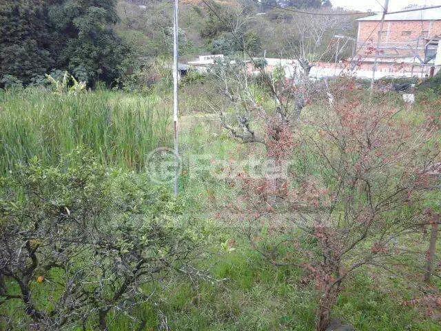 Terreno / Lote para Venda em Porto Alegre/RS Hípica