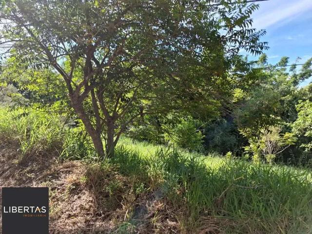 Terreno / Lote para Venda em Porto Alegre/RS Hípica