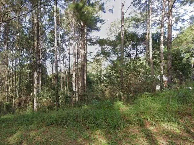 Terreno / Lote para Venda em Porto Alegre/RS Hípica