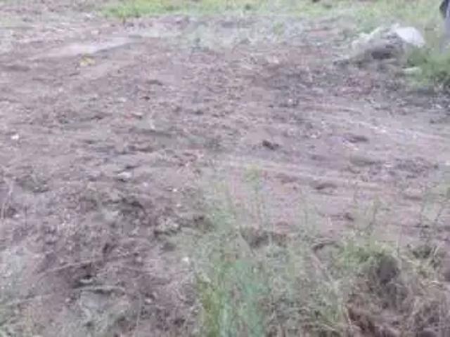 Terreno / Lote para Venda em Porto Alegre/RS Hípica