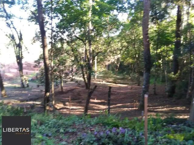 Terreno / Lote para Venda em Porto Alegre/RS Hípica