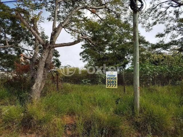 Terreno / Lote para Venda em Porto Alegre/RS Humaitá