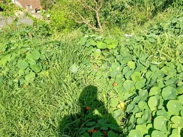 Terreno / Lote para Venda em Porto Alegre/RS Jardim Carvalho