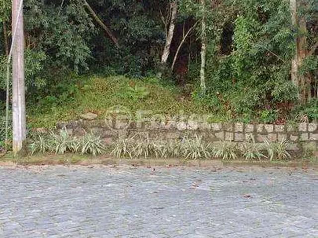 Terreno / Lote para Venda em Porto Alegre/RS Jardim Isabel