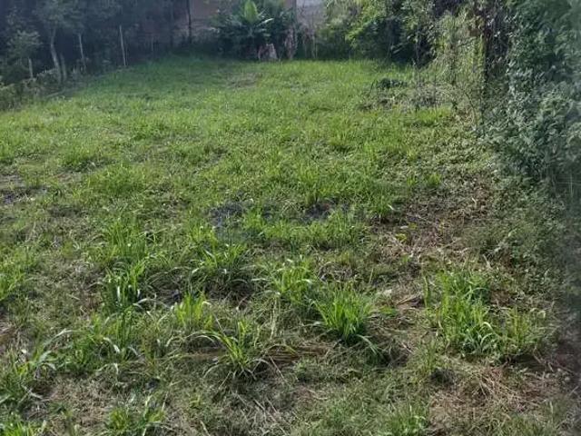 Terreno / Lote para Venda em Porto Alegre/RS Jardim Itu Sabará