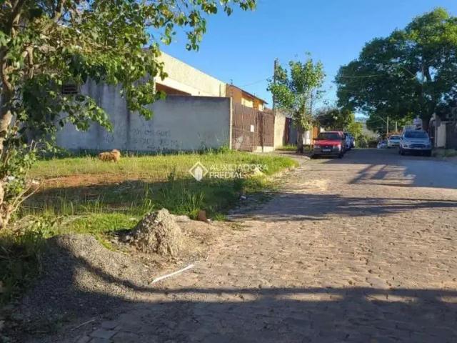 Terreno / Lote para Venda em Porto Alegre/RS Jardim Leopoldina