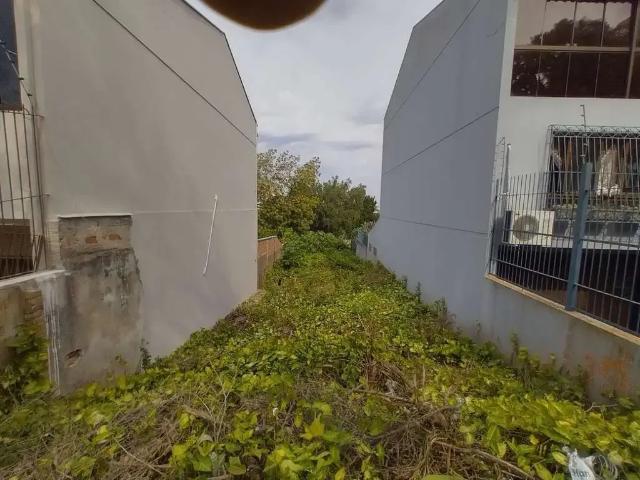 Terreno / Lote para Venda em Porto Alegre/RS Jardim São Pedro