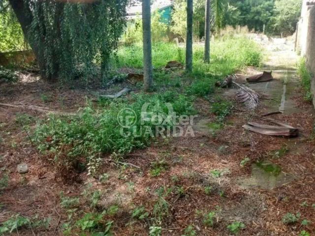 Terreno / Lote para Venda em Porto Alegre/RS Lami