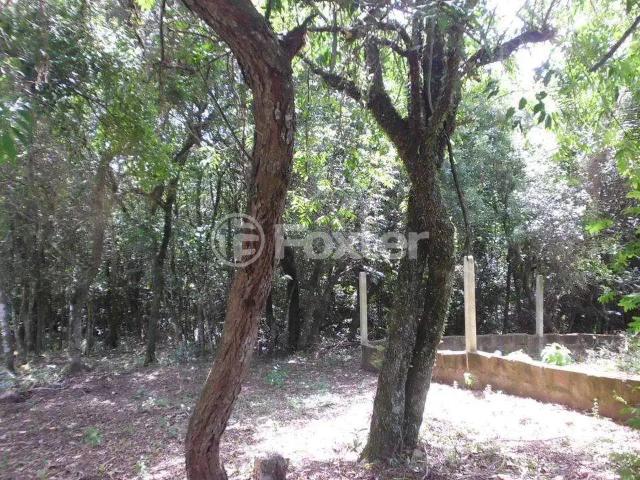 Terreno / Lote para Venda em Porto Alegre/RS Lami