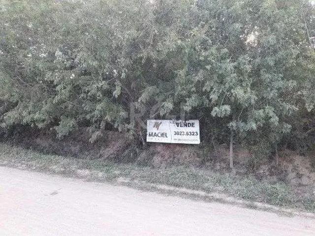Terreno / Lote para Venda em Porto Alegre/RS Lami