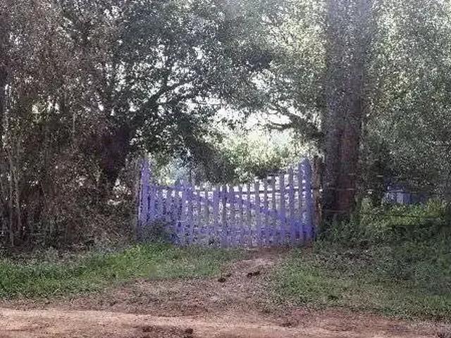 Terreno / Lote para Venda em Porto Alegre/RS Lageado