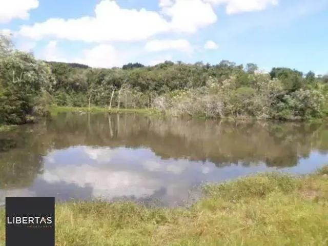 Terreno / Lote para Venda em Porto Alegre/RS Lageado