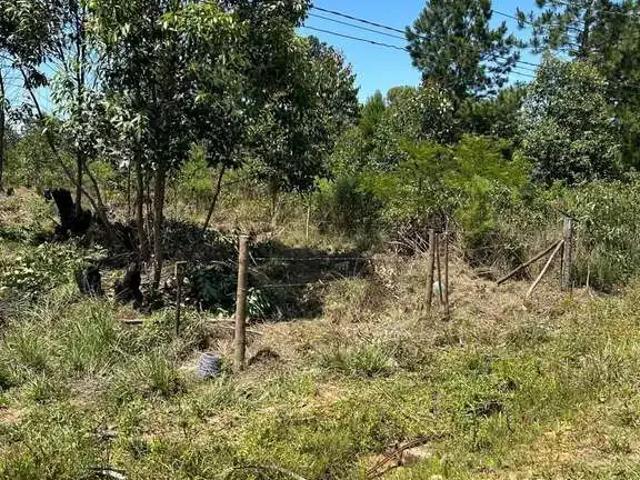 Terreno / Lote para Venda em Porto Alegre/RS Lageado