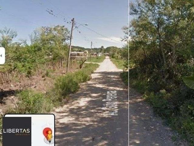 Terreno / Lote para Venda em Porto Alegre/RS Lageado