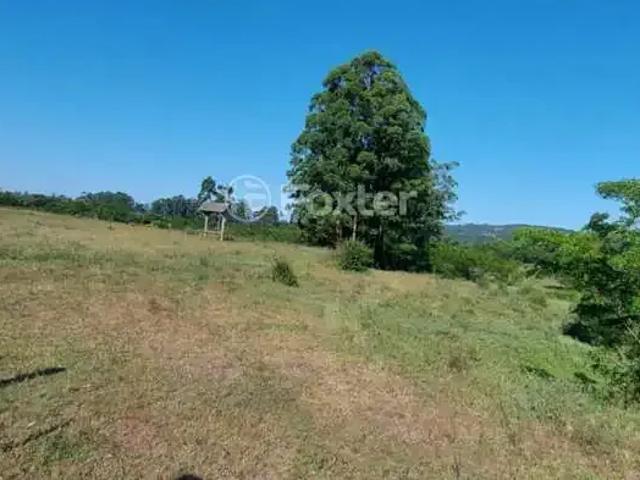 Terreno / Lote para Venda em Porto Alegre/RS Lageado