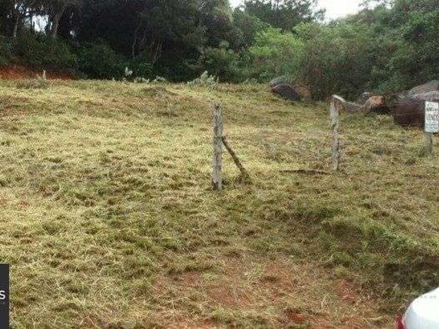 Terreno / Lote para Venda em Porto Alegre/RS Lageado