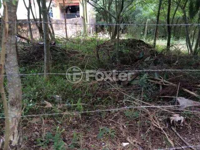 Terreno / Lote para Venda em Porto Alegre/RS Lomba do Pinheiro