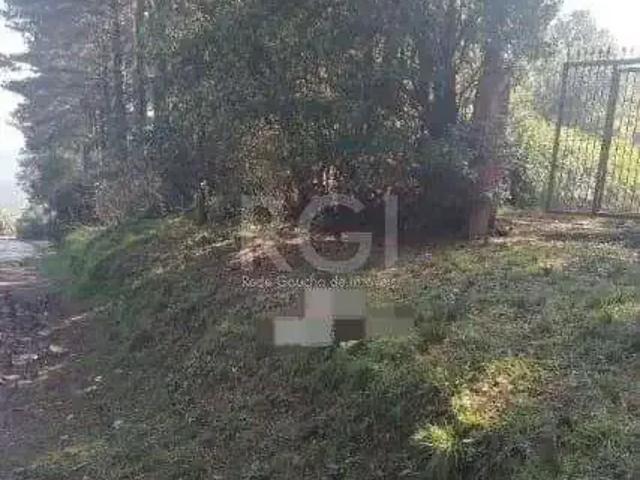 Terreno / Lote para Venda em Porto Alegre/RS Lomba do Pinheiro