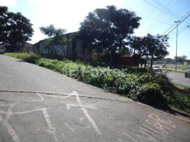 Terreno / Lote para Venda em Porto Alegre/RS Lomba do Pinheiro
