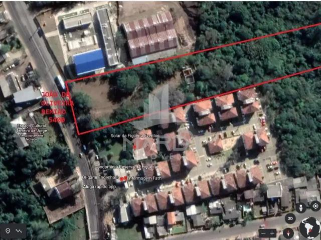 Terreno / Lote para Venda em Porto Alegre/RS Lomba do Pinheiro