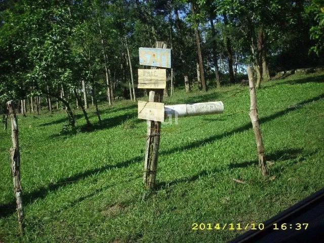 Terreno / Lote para Venda em Porto Alegre/RS Lomba do Pinheiro