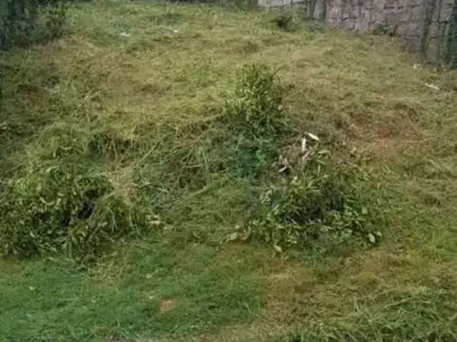 Terreno / Lote para Venda em Porto Alegre/RS Lomba do Pinheiro