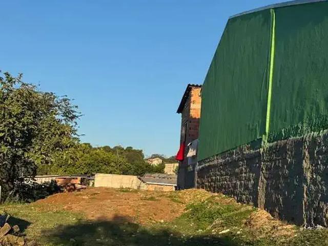 Terreno / Lote para Venda em Porto Alegre/RS Lomba do Pinheiro