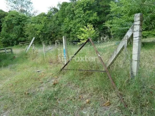 Terreno / Lote para Venda em Porto Alegre/RS Lomba do Pinheiro