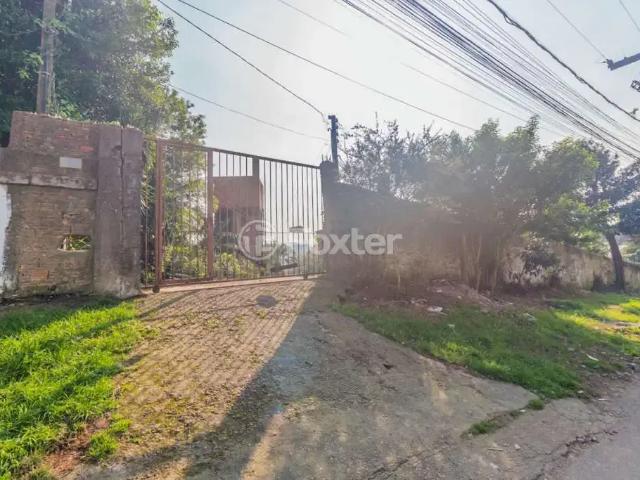 Terreno / Lote para Venda em Porto Alegre/RS Mário Quintana