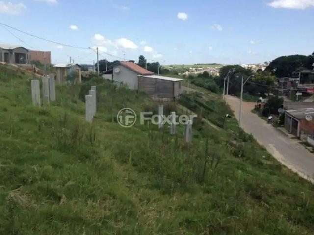 Terreno / Lote para Venda em Porto Alegre/RS Mário Quintana