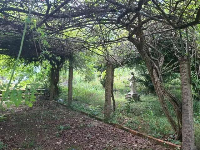 Terreno / Lote para Venda em Porto Alegre/RS Menino Deus