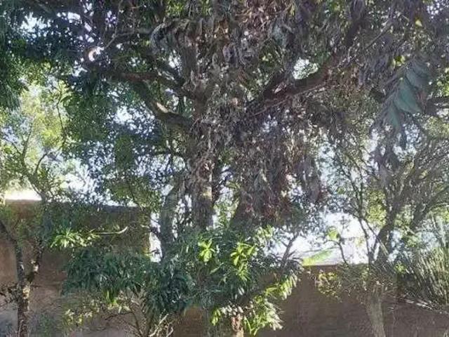Terreno / Lote para Venda em Porto Alegre/RS Menino Deus