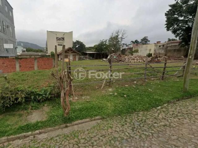 Terreno / Lote para Venda em Porto Alegre/RS Morro Santana
