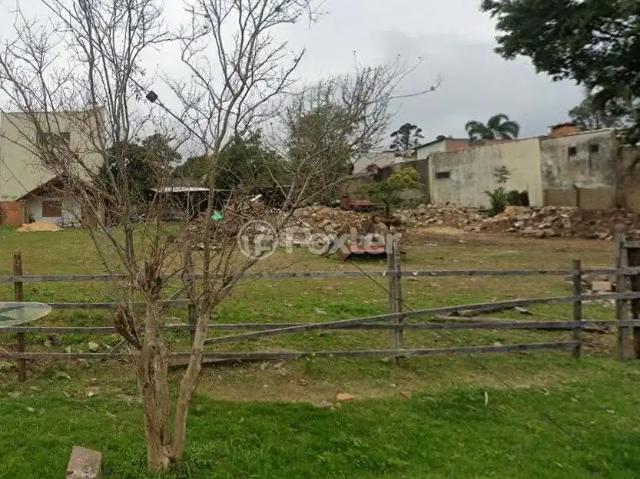 Terreno / Lote para Venda em Porto Alegre/RS Morro Santana