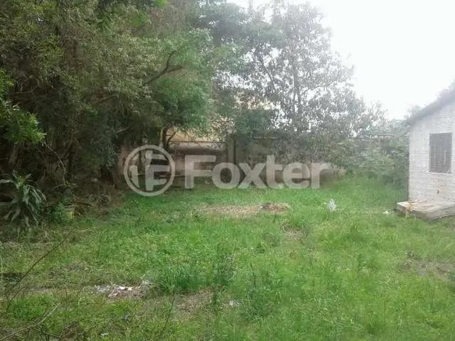 Terreno / Lote para Venda em Porto Alegre/RS Morro Santana