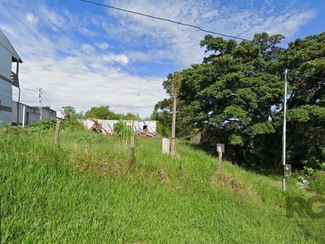 Terreno / Lote para Venda em Porto Alegre/RS Nonoai