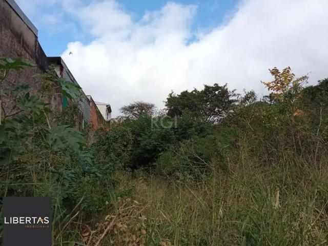 Terreno / Lote para Venda em Porto Alegre/RS Nonoai
