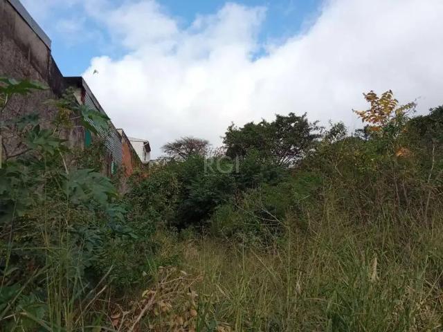 Terreno / Lote para Venda em Porto Alegre/RS Nonoai