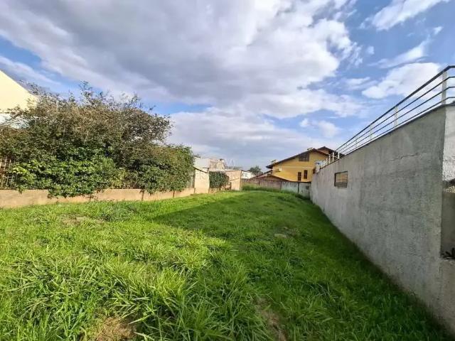 Terreno / Lote para Venda em Porto Alegre/RS Nonoai