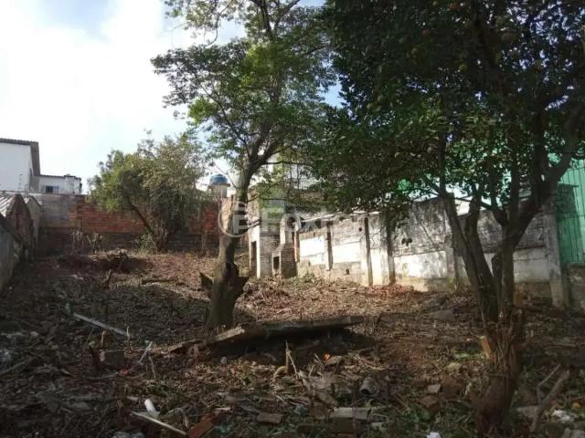 Terreno / Lote para Venda em Porto Alegre/RS Nonoai