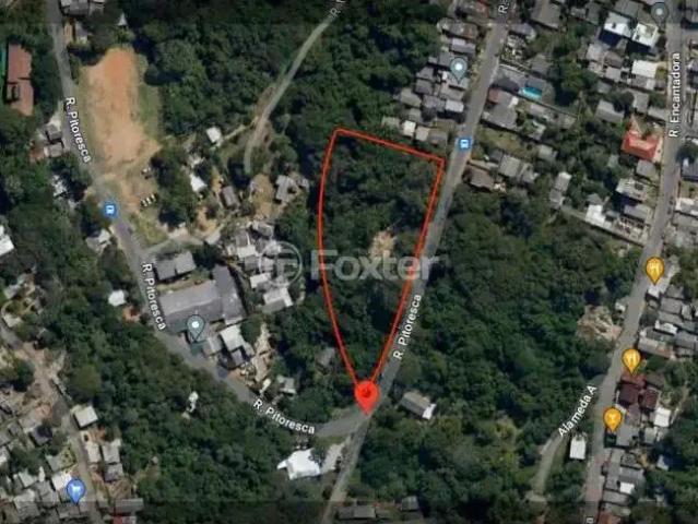 Terreno / Lote para Venda em Porto Alegre/RS Partenon