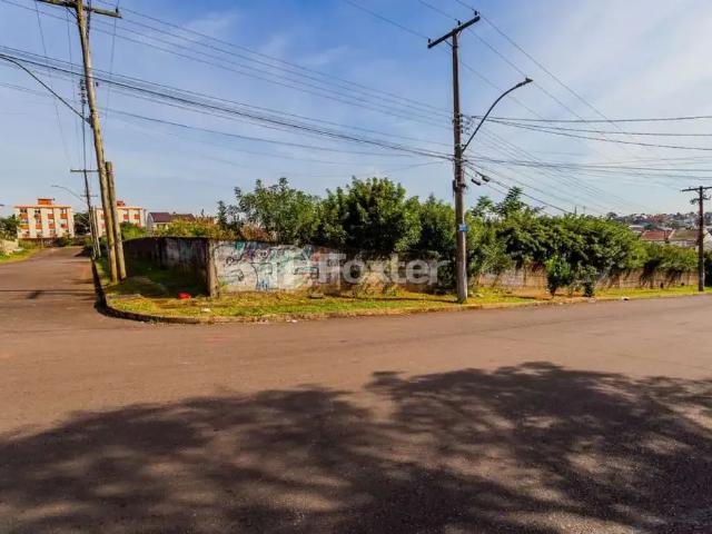 Terreno / Lote para Venda em Porto Alegre/RS Parque Santa Fé